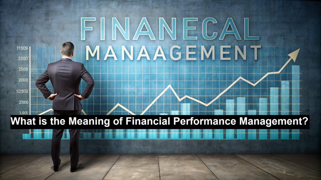 What is the Meaning of Financial Performance Management? - Banking Schemes